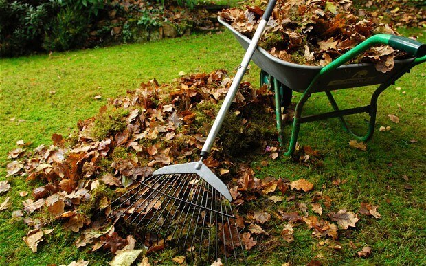 Garden Clearance Services London RubbishMan Ltd garden-clearance-services-london-rubbishman-ltd